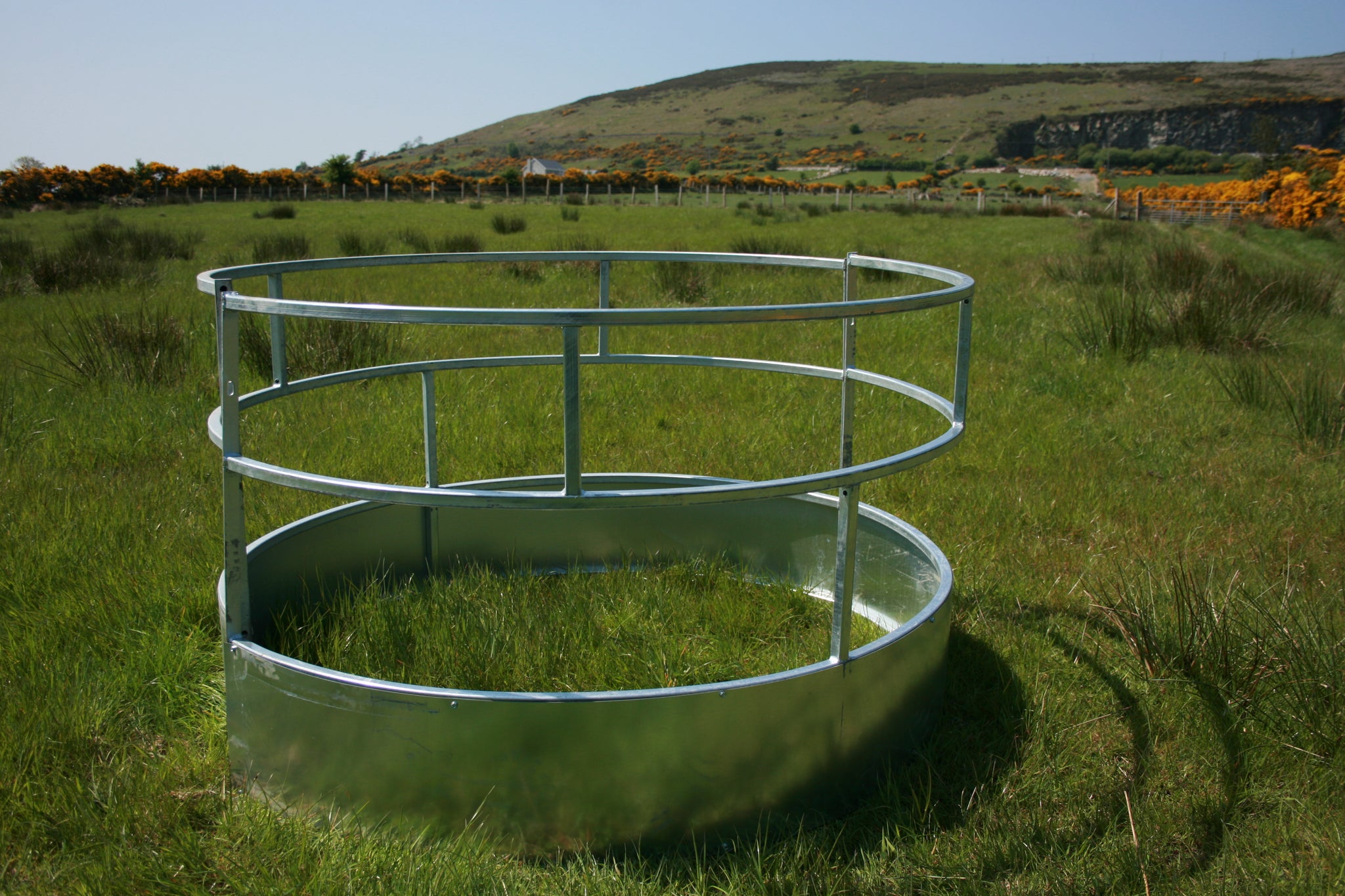 Horned Sheep Round Feeder – Mulveys Hardware